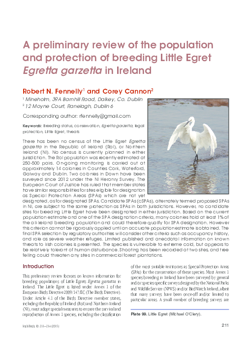 (PDF) Fennelly and Cannon 2015 Little Egret Ireland Irish Birds