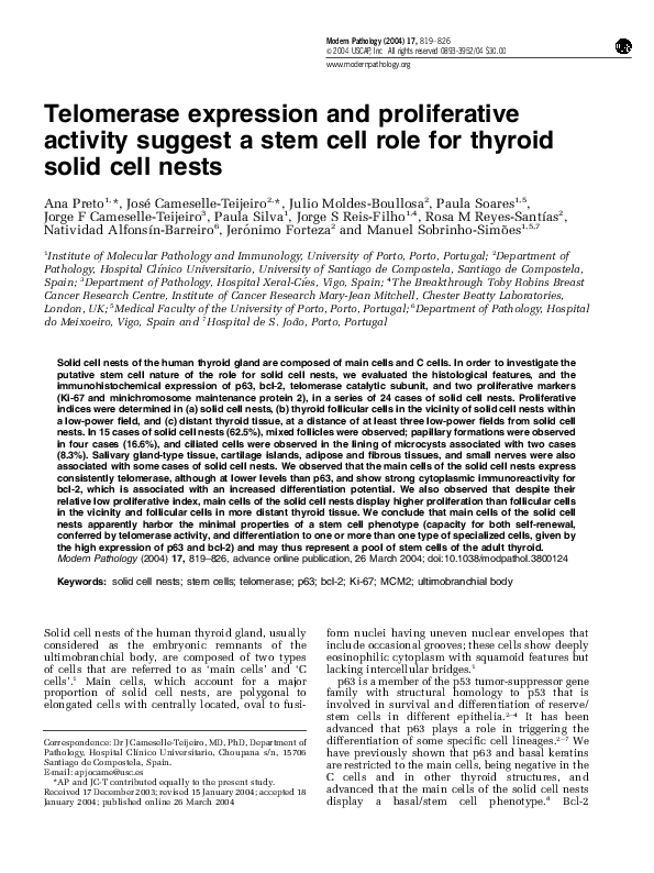 (PDF) Telomerase expression and proliferative activity suggest a stem ...