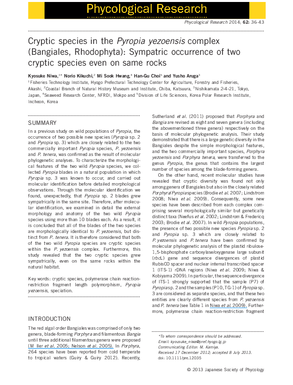 (PDF) Cryptic species in the Pyropia yezoensis complex (Bangiales ...