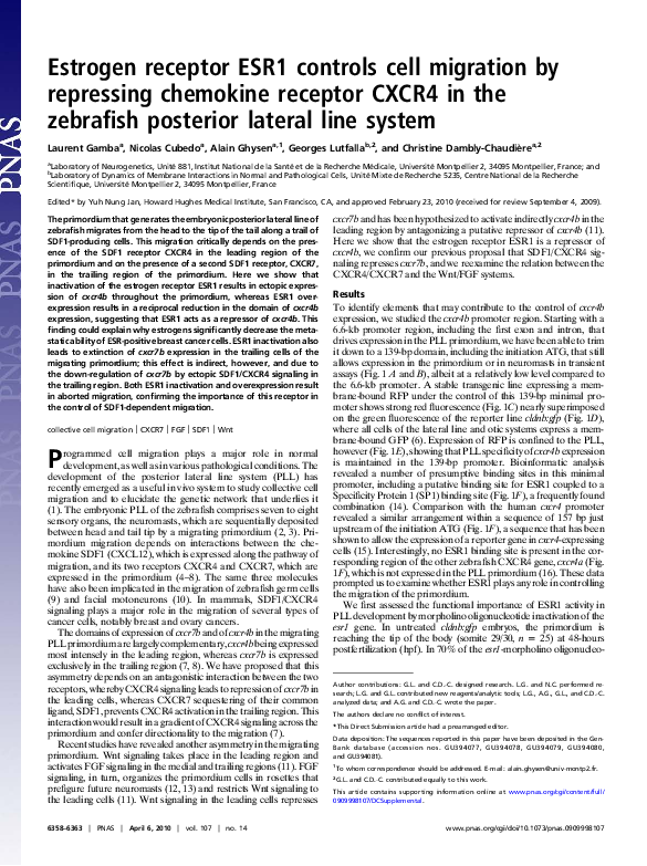 (PDF) Estrogen receptor ESR1 controls cell migration by repressing ...