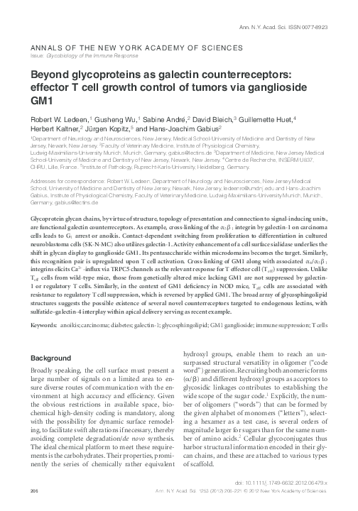 (PDF) Beyond glycoproteins as galectin counterreceptors: tumor-effector ...