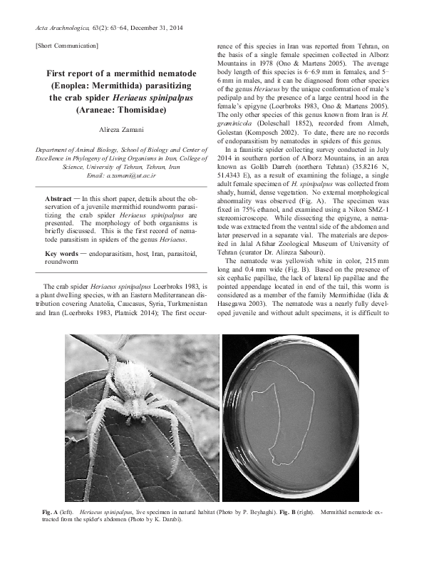 (PDF) First report of a mermithid nematode (Enoplea: Mermithida ...