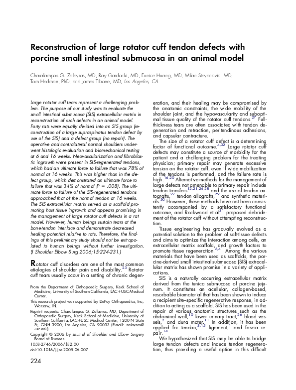 Reconstruction of large rotator cuff tendon defects with porcine small ...
