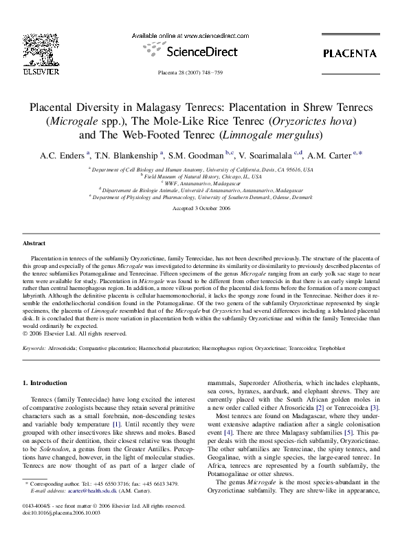 (PDF) Placental diversity in Malagasy tenrecs: placentation in shrew ...