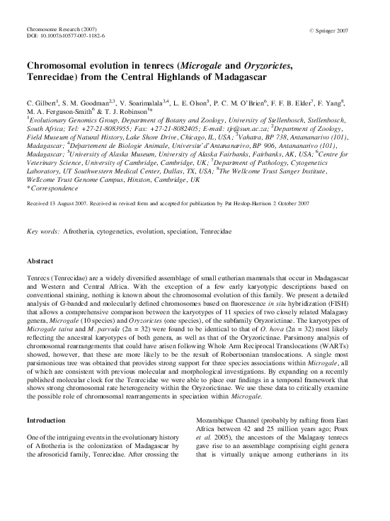 (PDF) Chromosomal evolution in tenrecs (Microgale and Oryzorictes ...