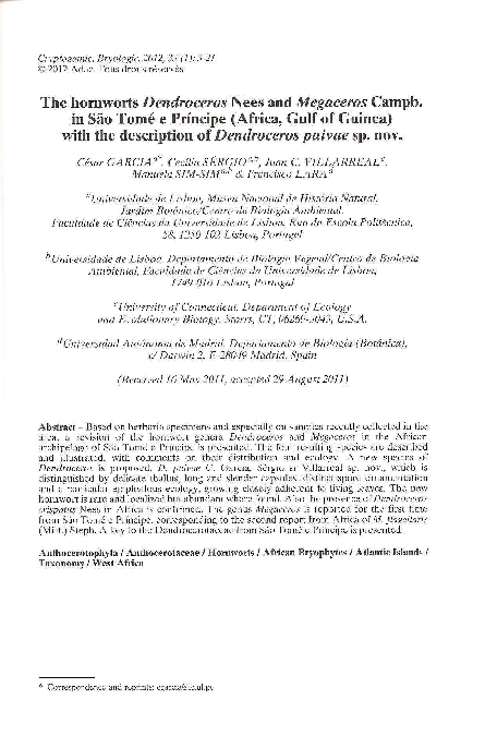 (PDF) The Hornworts Dendroceros Nees and Megaceros Campb. in São Tomé e ...