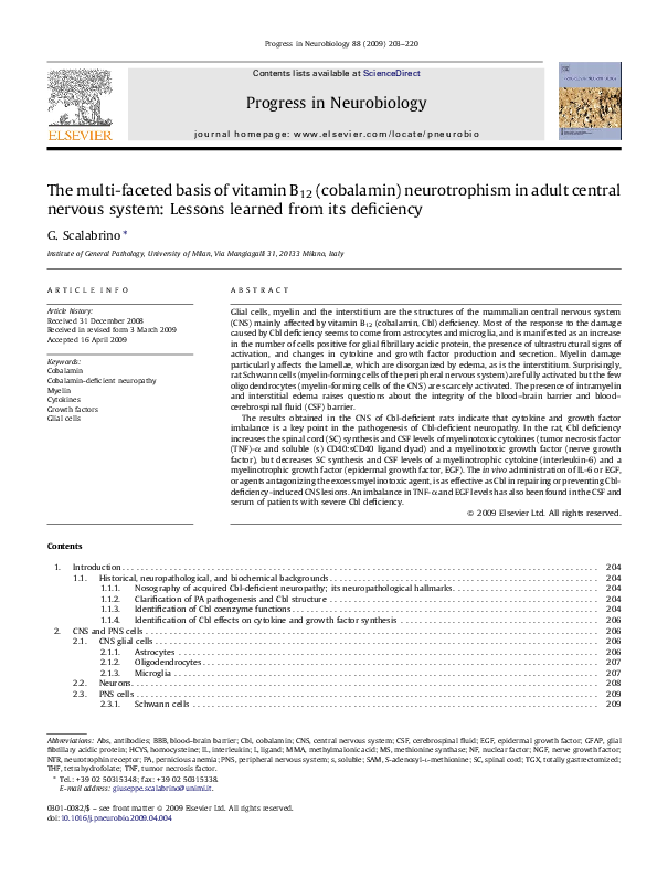 (PDF) Vitamin B12 deficiency mimicking neuroimaging features of motor neuron disease | José ...