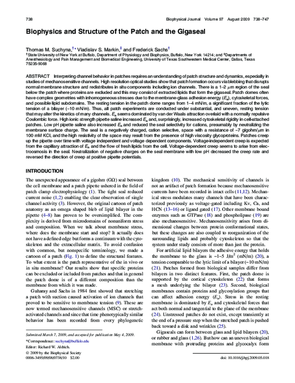 (PDF) Biophysics and Structure of the Patch and the Gigaseal