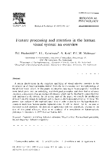 (PDF) Feature processing and attention in the human visual system: an overview | Dirk Heslenfeld ...