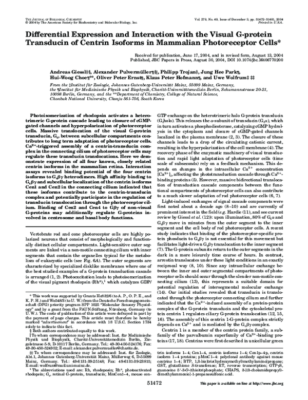 (PDF) Differential Expression and Interaction with the Visual G-protein ...