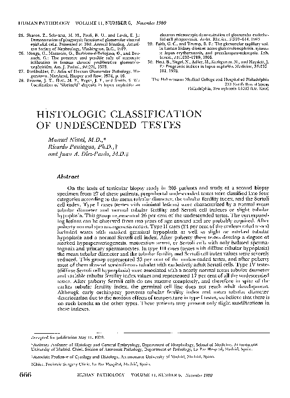 Pdf Histologic Classification Of Undescended Testes Manuel Nistal