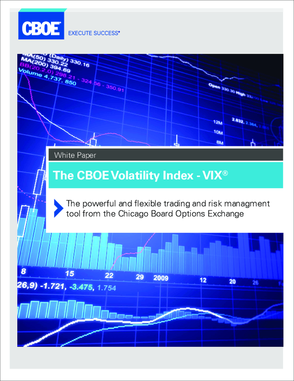 (PDF) The CBOE Volatility Index -VIX