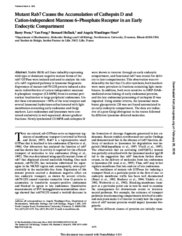 (PDF) Mutant Rab7 Causes the Accumulation of Cathepsin D and Cation ...