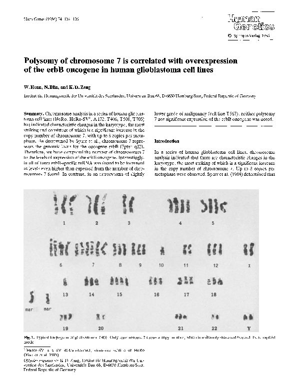 (PDF) Polysomy of chromosome 7 is correlated with overexpression of the ...