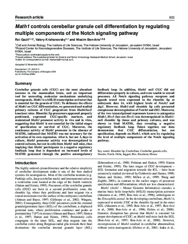 (PDF) Math1 controls cerebellar granule cell differentiation by ...