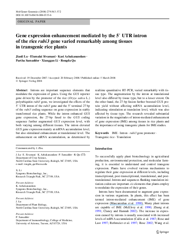 (PDF) Gene expression enhancement mediated by the 5′ UTR intron of the ...