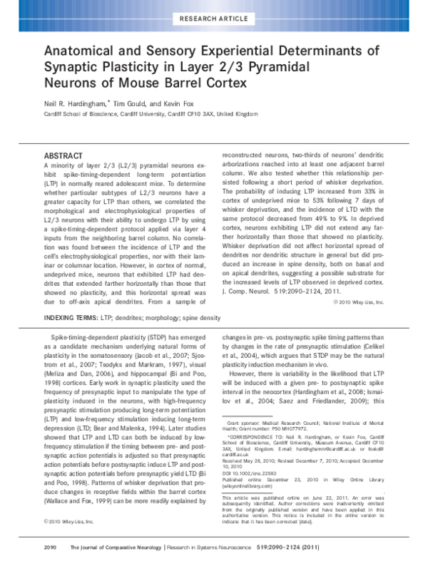 (PDF) Anatomical and sensory experiential determinants of synaptic ...