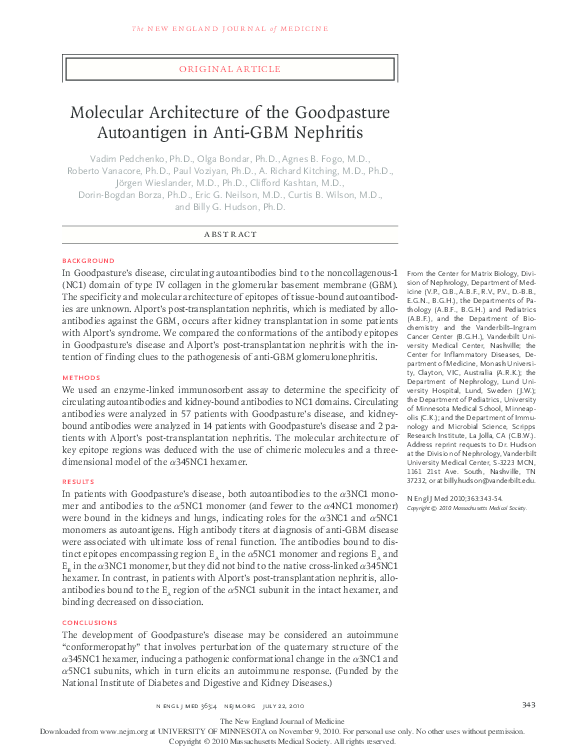 (PDF) Molecular Architecture of the Goodpasture Autoantigen in Anti-GBM ...