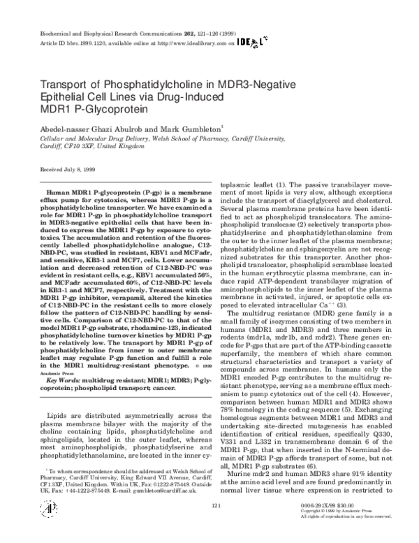 (PDF) Transport of Phosphatidylcholine in MDR3-Negative Epithelial Cell ...