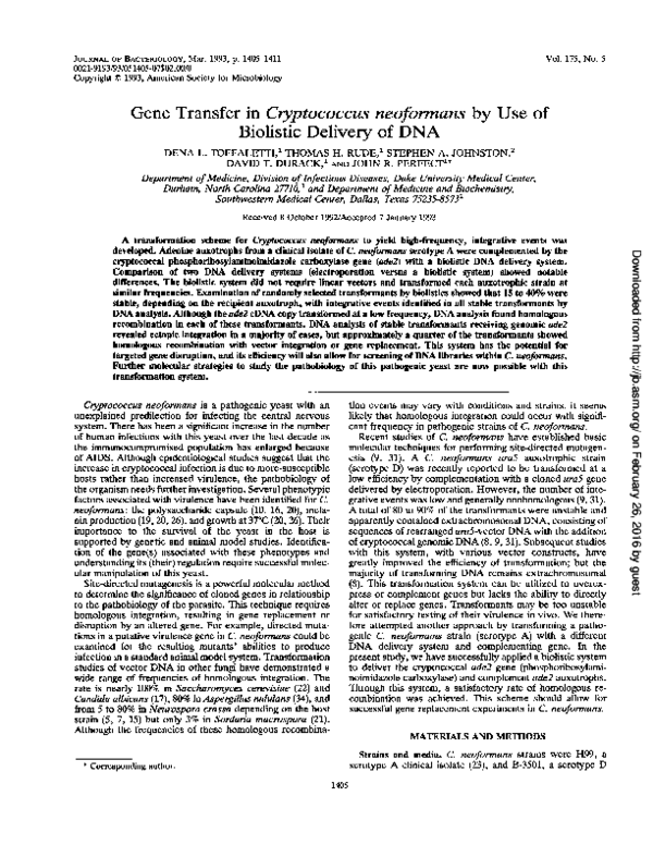 (PDF) Gene transfer in Cryptococcus neoformans by use of biolistic ...