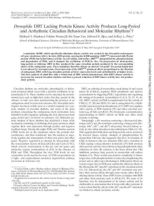 (PDF) Drosophila DBT Lacking Protein Kinase Activity Produces Long ...