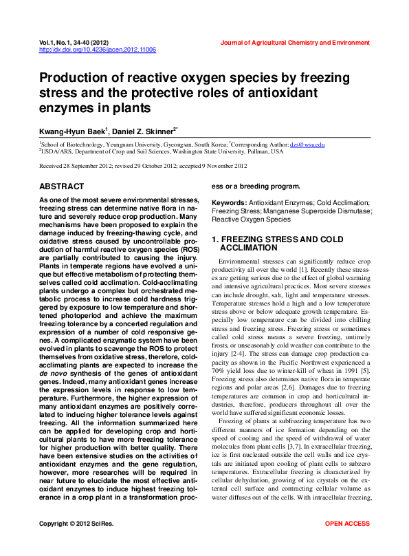 (PDF) Production of reactive oxygen species by freezing stress and the ...