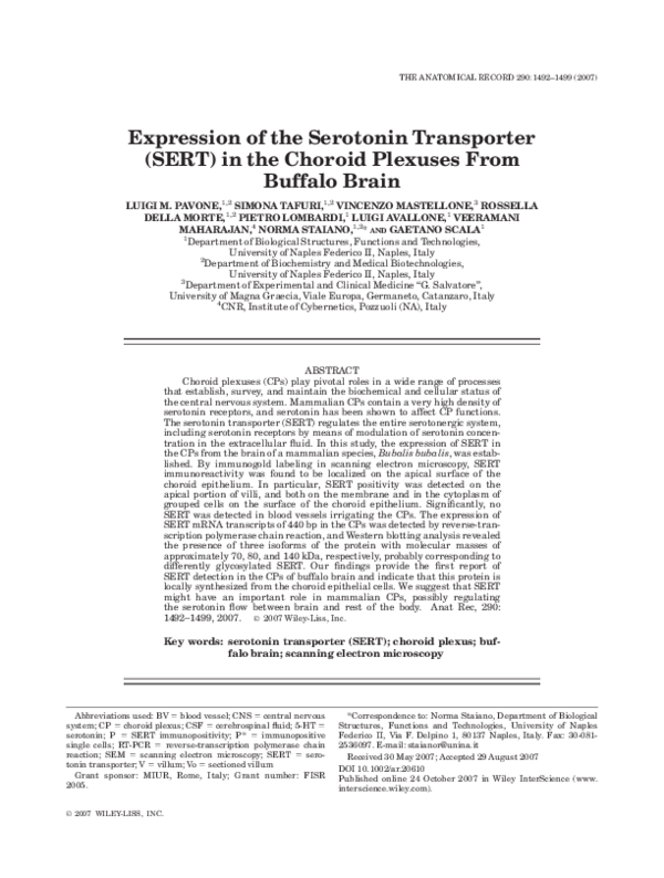 (PDF) Expression of the Serotonin Transporter (SERT) in the Choroid ...