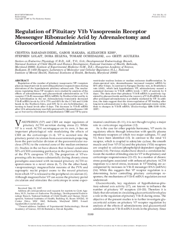 (PDF) Regulation of Pituitary V1b Vasopressin Receptor Messenger ...