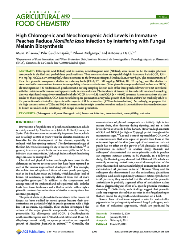 (PDF) High Chlorogenic and Neochlorogenic Acid Levels in Immature ...