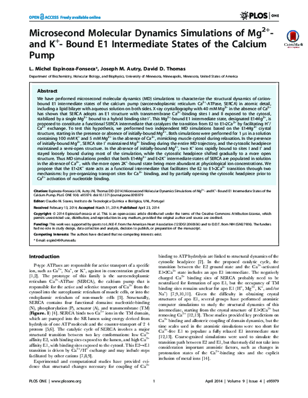 (PDF) Microsecond Molecular Dynamics Simulations of the Open State ...