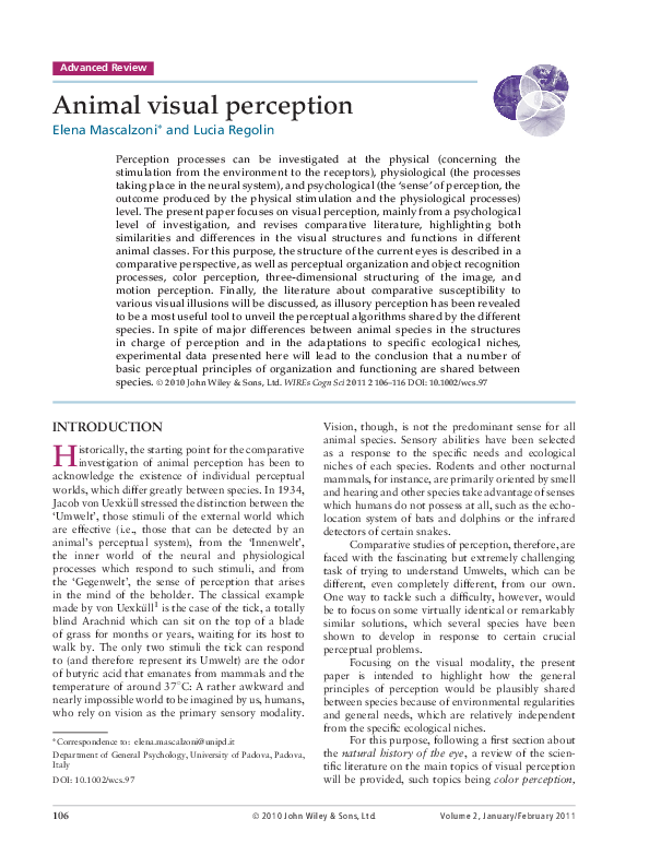 (PDF) Animal visual perception