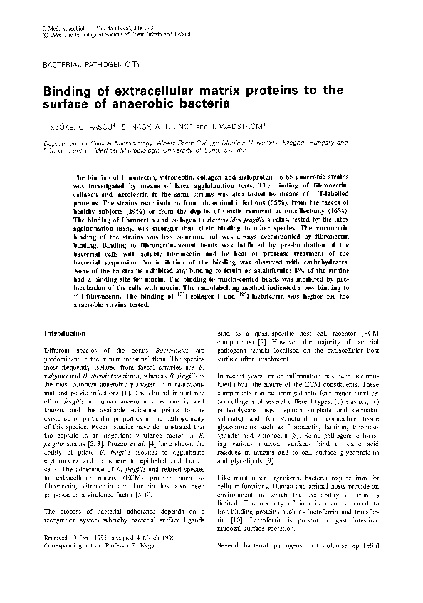(PDF) Binding of extracellular matrix proteins to the surface of ...