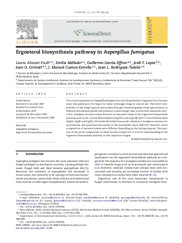 (PDF) Ergosterol biosynthesis pathway in Aspergillus fumigatus