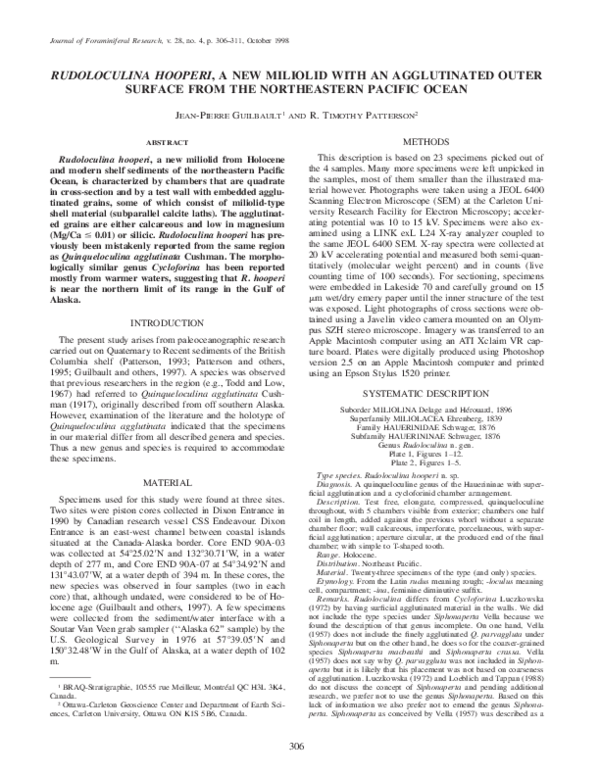 (PDF) Rudoloculina Hooperi, a New Miliolid With an Agglutinated Outer ...