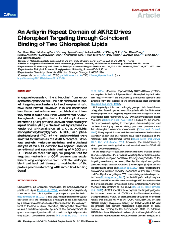 (PDF) An Ankyrin Repeat Domain of AKR2 Drives Chloroplast Targeting ...
