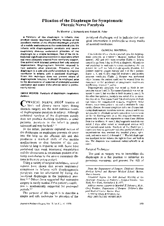 la réplication de l'adn