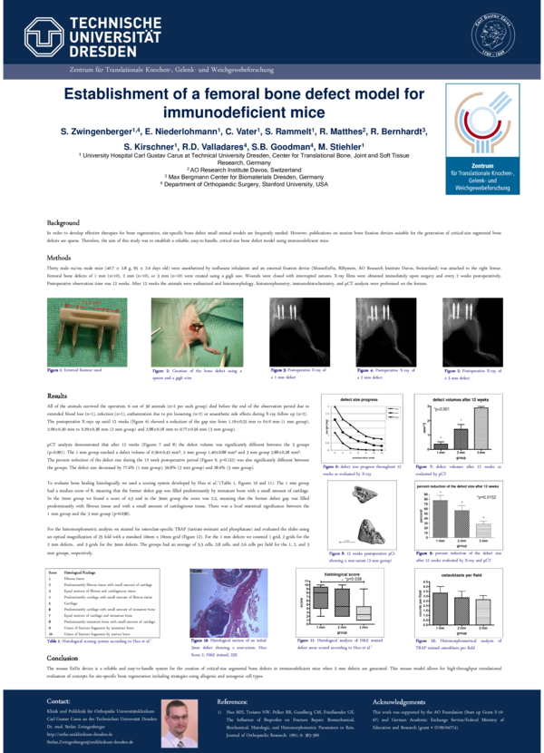 (PDF) Establishment of a femoral critical-size bone defect model in ...