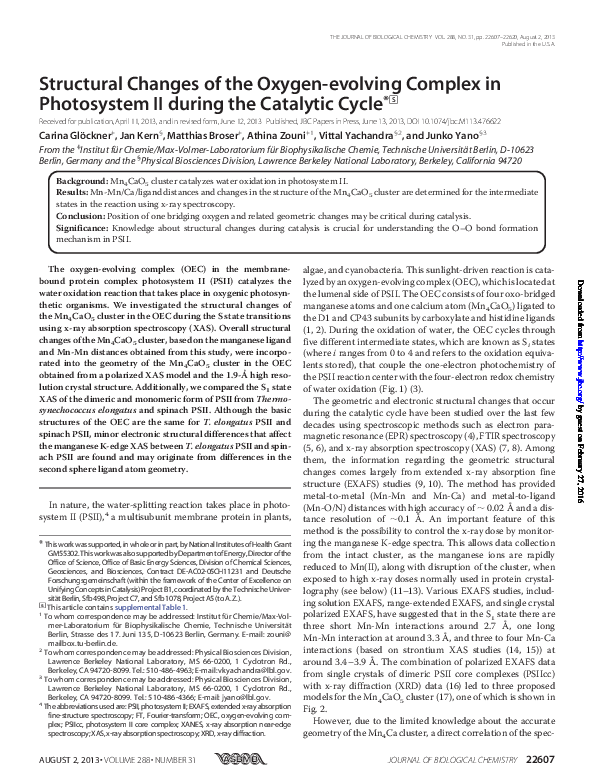 (PDF) Structural Changes of the Oxygen-evolving Complex in Photosystem ...