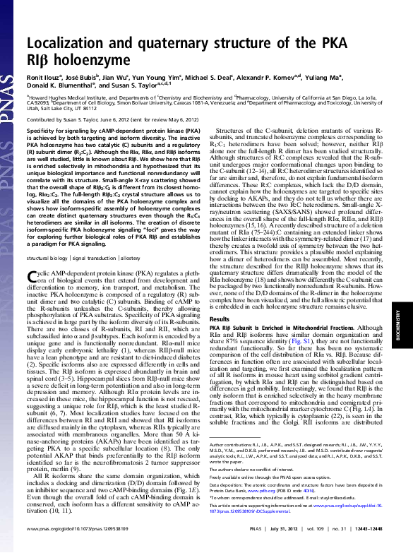 (PDF) Localization and quaternary structure of the PKA RI holoenzyme