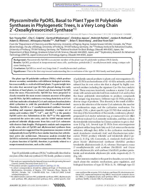 (PDF) Physcomitrella PpORS, Basal to Plant Type III Polyketide ...
