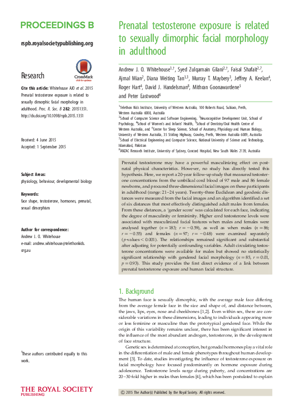(PDF) Prenatal testosterone exposure is related to sexually dimorphic ...