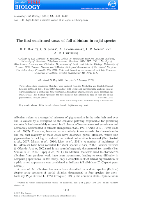 (PDF) The first confirmed cases of full albinism in rajid species