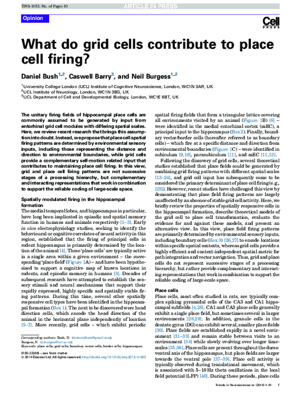 (PDF) What do grid cells contribute to place cell firing? | Caswell ...