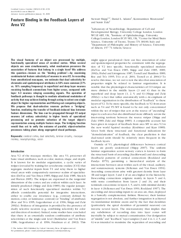 (PDF) Feature Binding in the Feedback Layers of Area V2