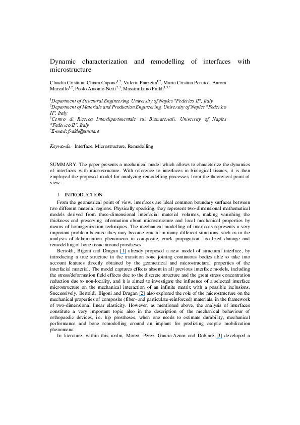 (PDF) Dynamic characterization and remodelling of interfaces with microstructure
