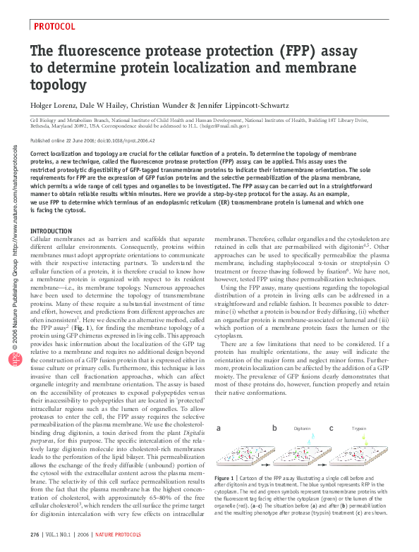 (PDF) The fluorescence protease protection (FPP) assay to determine ...