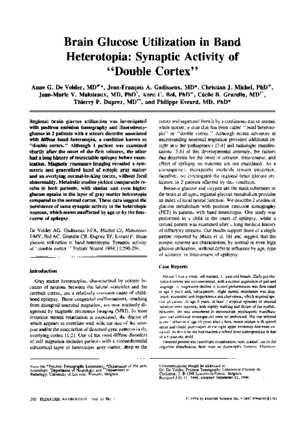 (PDF) Brain glucose utilization in band heterotopia: Synaptic activity ...