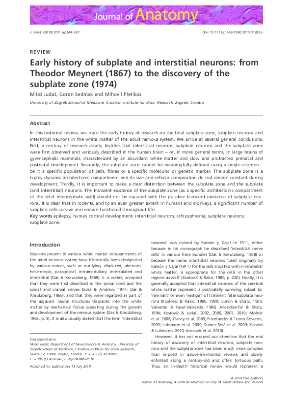 (PDF) Early history of subplate and interstitial neurons: from Theodor ...