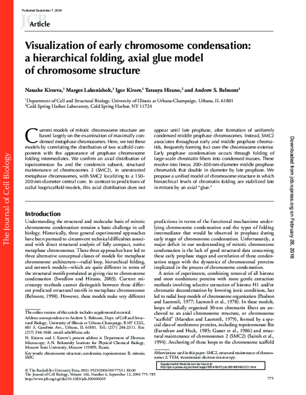 (PDF) Visualization of early chromosome condensation: a hierarchical ...