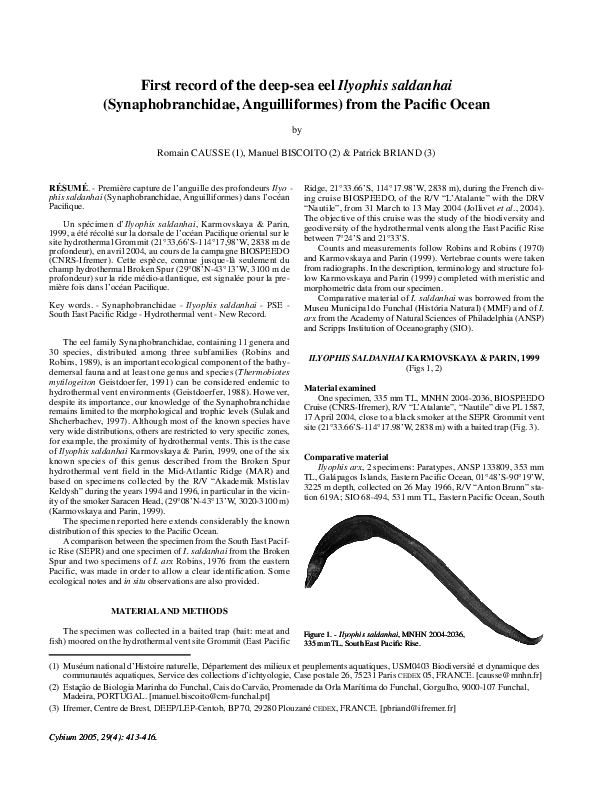 (PDF) First record of the deep-sea eel Ilyophis saldanhai ...